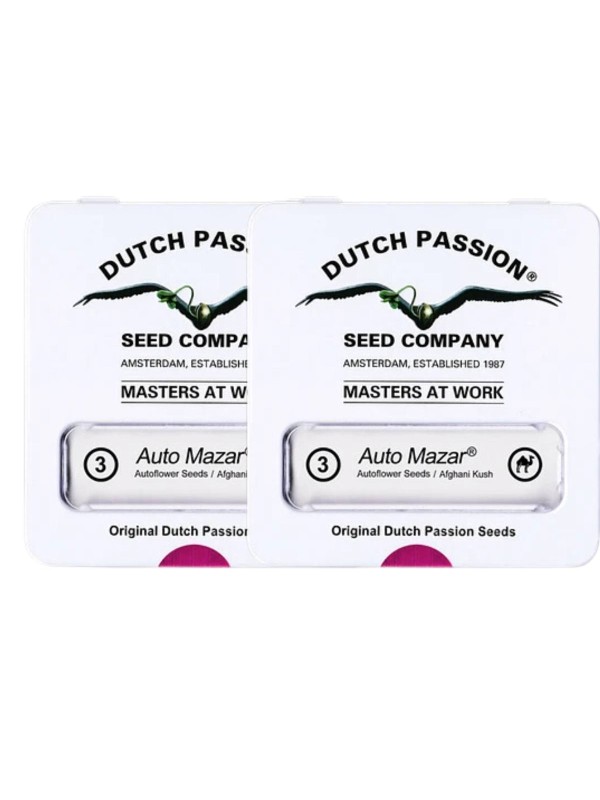 Mazar Auto X3 2x1 Dutch Passion