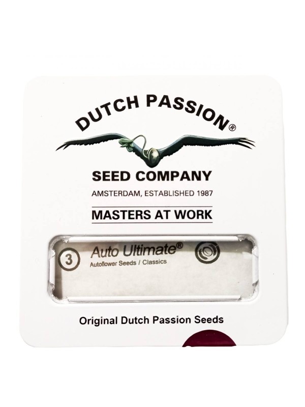 THE ULTIMATE AUTO X3 Dutch Passion